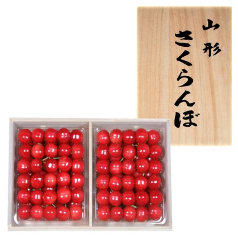 山形県産佐藤錦 厳選極上手詰め1kg（桐箱入り）【山形ふるさと便のさくらんぼ】 野川ファーム