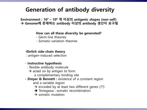Ppt Organization And Expression Of Immunoglobulin Genes Powerpoint Presentation Id 5580122