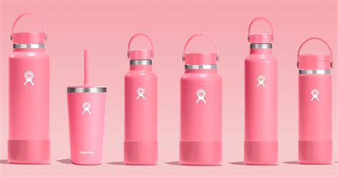Hydro Flask Pink Flash Sale 20 Off Bottles Tumblers Mugs And More