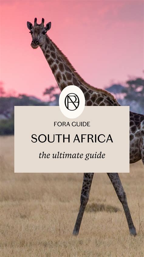 27 fabulous places to visit in south africa – Artofit