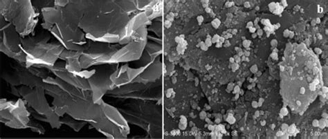 Sem Image Of A Go And B Fe3o4 Rgo Download Scientific Diagram