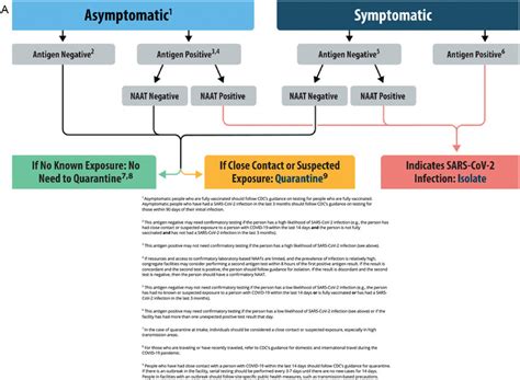 Cdc Antigen Testing Algorithm 134140 1a Testing For Congregate