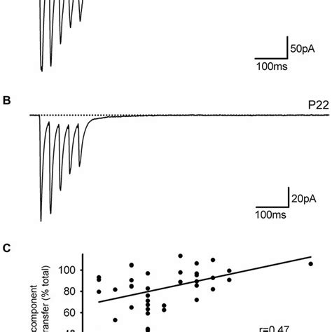 The Slow Component Of The Epsc Is Developmentally Downregulated A