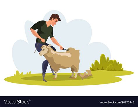 Man Shearing Sheep Flat Royalty Free Vector Image