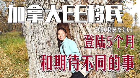 30岁全家加拿大ee移民 5个月登陆体验就业医疗购物社会支持 哪些事情和我期待的不同 3040移民系列 No4l541