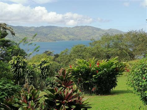 Hotel La Ceiba Tree Lodge Tilar N