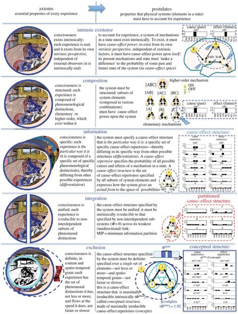 Integrated Information Theory Consciocentric