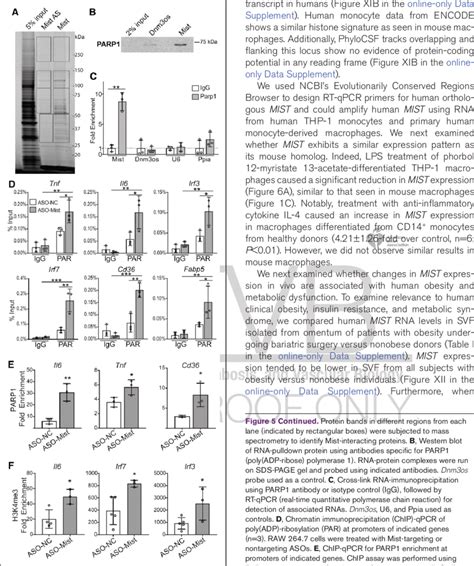 Macrophage Inflammation Suppressing Transcript Mist Interacts With