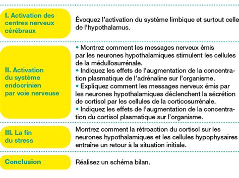 M Canismes Neuroendocriniens Lors D Un Stress Aigu Sciences De La Vie