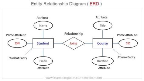 Understanding The Importance Of Primary Keys In Entity Relationship