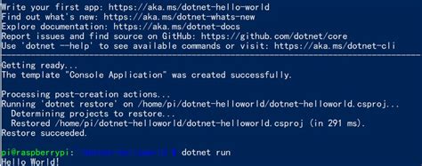 Installing And Developing Net 5 Apps On Raspberry Pi 4 Malaysia C Developer And Writing Blog