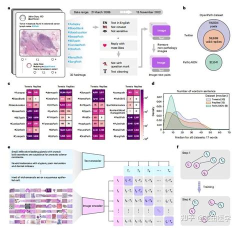利用医学twitter进行病理图像分析的视觉 语言基础模型 文献速递 视觉通用模型与疾病诊断 知乎