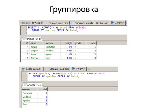 Введение в системы управления базами данных СУБД и основные возможности реляционной СУБД Mysql