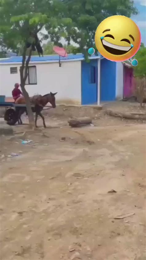 Dess on Twitter RT momentoviral Por que son así