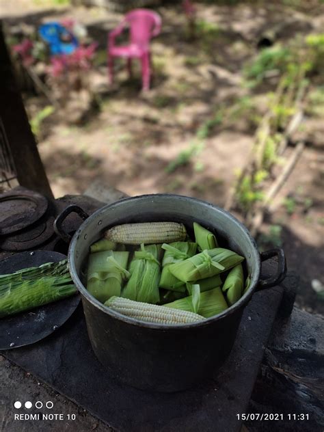 Tamales Free Photo On Pixabay Pixabay