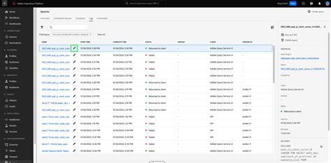 Query Logs Adobe Experience Platform