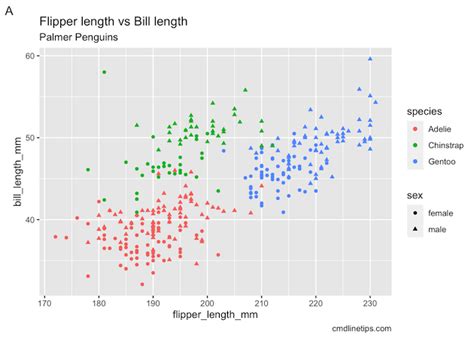 8 Tips To Use Elementblank In Ggplot2 Theme Python And R Tips