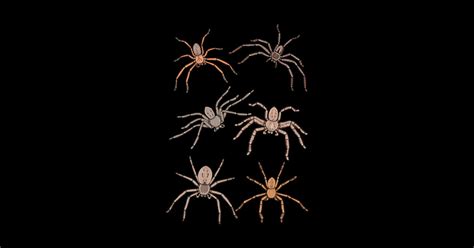 Huntsman Spider Pattern Huntsman Sticker Teepublic