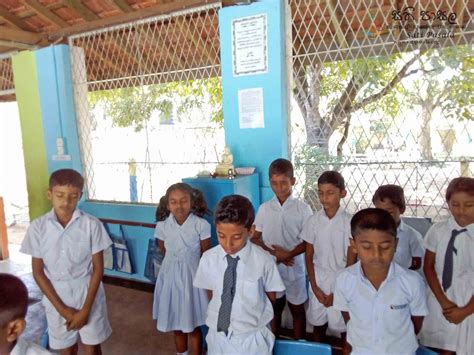 සතිමත් බව පුහුණු කිරීමේ වැඩසටහ බප ගම් මයුරපාද කනිෂ්ඨ විද්‍යාලය තිහාරිය Sati Pasala Or How To