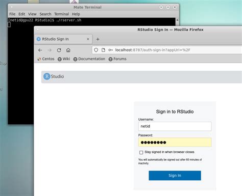 R UArizona HPC Documentation