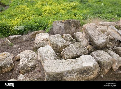 One Israels Most Important Antiquities Sites In Ancient Times Megiddo