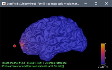 Display Leadfield As Heatmap Within Brainstorm Issue 585