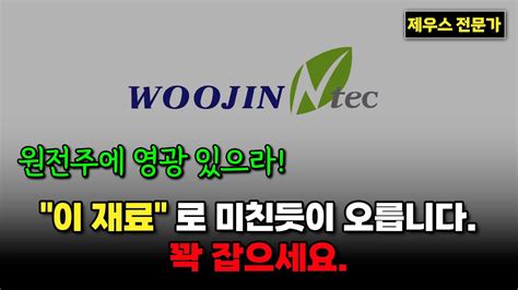 우진엔텍 주가 전망 웨스팅하우스 분쟁 타결 드디어 날아간다 우진엔텍 우진엔텍주가 우진엔텍주가전망 Youtube