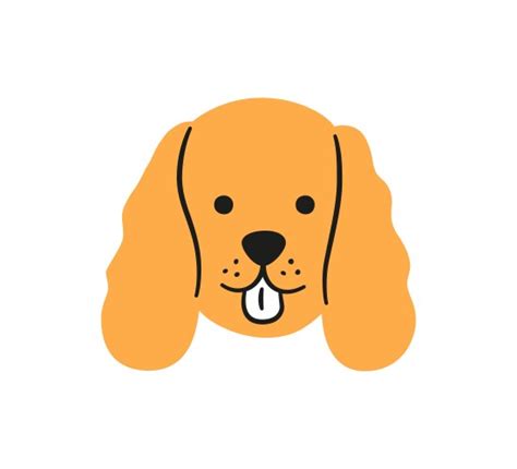 American Cocker Spaniel All Coat Colors Clipart Vector Image