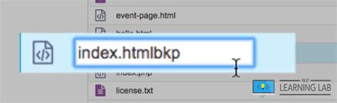 Wordpress Core Files Replacement Done Manually On A Live Site