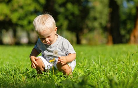 怎么培养孩子的观察力 新知