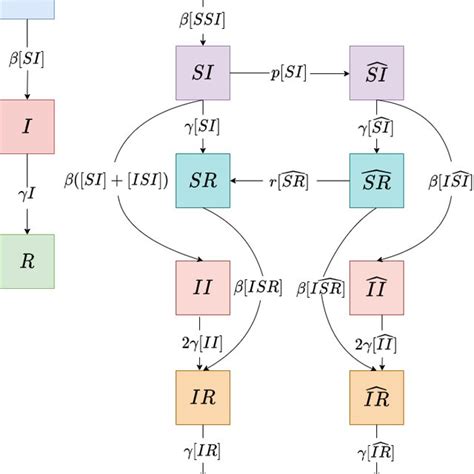 flow chart depicting edge and node dynamics in the ode model