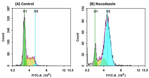 Cell Meter™ Fluorimetric Live Cell Cycle Assay Kit Green Fluorescence
