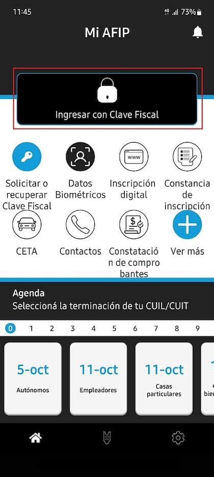 ¿cómo Saber Si Tenés Deudas En Afip La Nacion