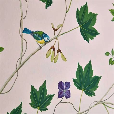 Sycamore And Oak Mural By Sanderson Wild Rose Mural Wallpaper Direct