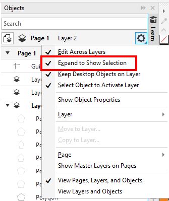 Moving Objects Across Layers In 2022 CorelDRAW Graphics Suite For