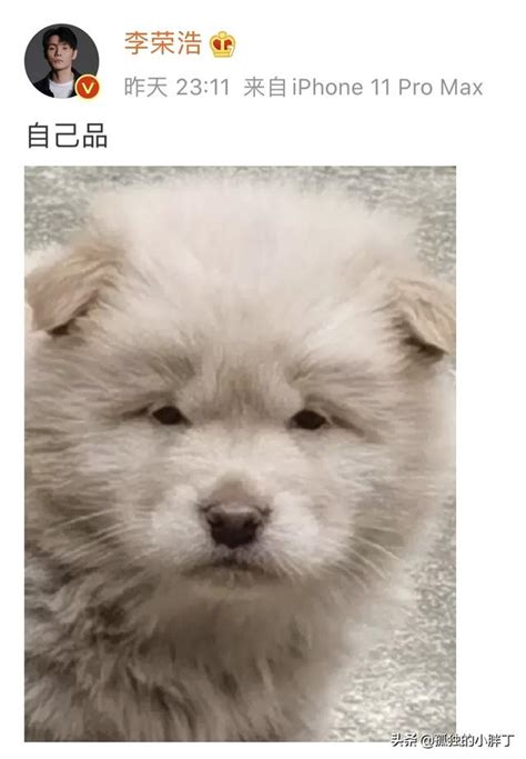 李榮浩深夜評論楊丞琳動態，新婚夫妻分居兩地感情狀況成謎 每日頭條