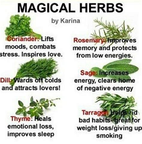 Magic Herbs Herbal Magic Natural Healing Herbal Cure Healing Spells