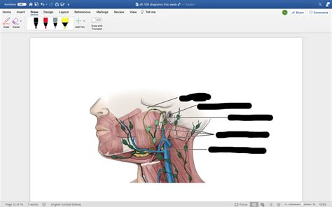 Diagram 106 Diagram Quizlet