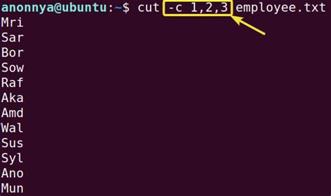 The “cut” Command In Linux [8 Practical Examples] Linuxsimply