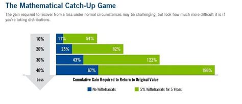 Volatility Buffer Birdseye Financial Services 360 722 7889