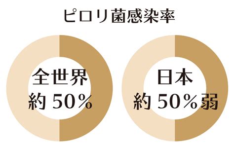 ヘリコバクター、ピロリ菌 胃カメラ大腸カメラ 高円寺駅徒歩3分よしひさ内科クリニック｜一般内科、消化器内科、内視鏡内科｜中野区大和町郵便局そば