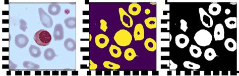 Opencv Installation And Getting Started With Image Processing By