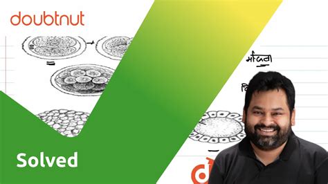 विदलन क्या है गैस्ट्रलेशन अवस्था तक भूण में होने वाले परिवर्तन का वर