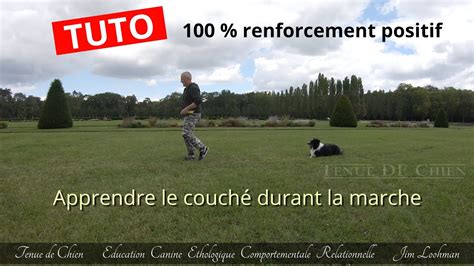 Tenue de Chien TUTORIEL Apprendre le couché durant la marche YouTube