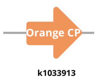 Team HKUST Parts Igem Org