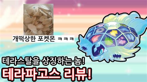 테라스탈 패치로 떡상한 테라파고스 Youtube