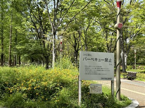 연둣빛 가득한 4월 오사카 여행 🍃🏯