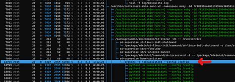 Updating Ha On Docker Installation Home Assistant Community