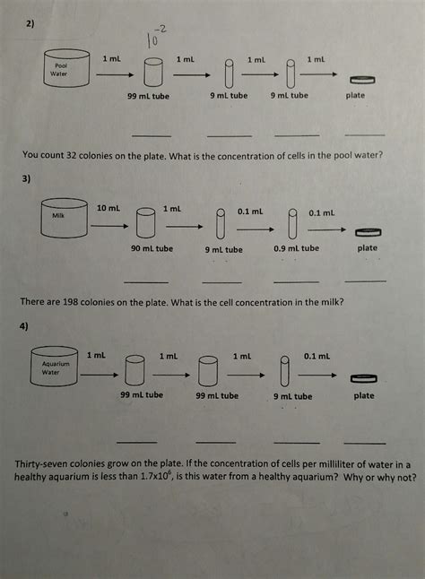 Solved You Count Colonies On The Plate What Is The Chegg