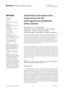 Endothelial Cell Dysfunction Implications For The Pathogenesis Of Peripheral Artery Disease